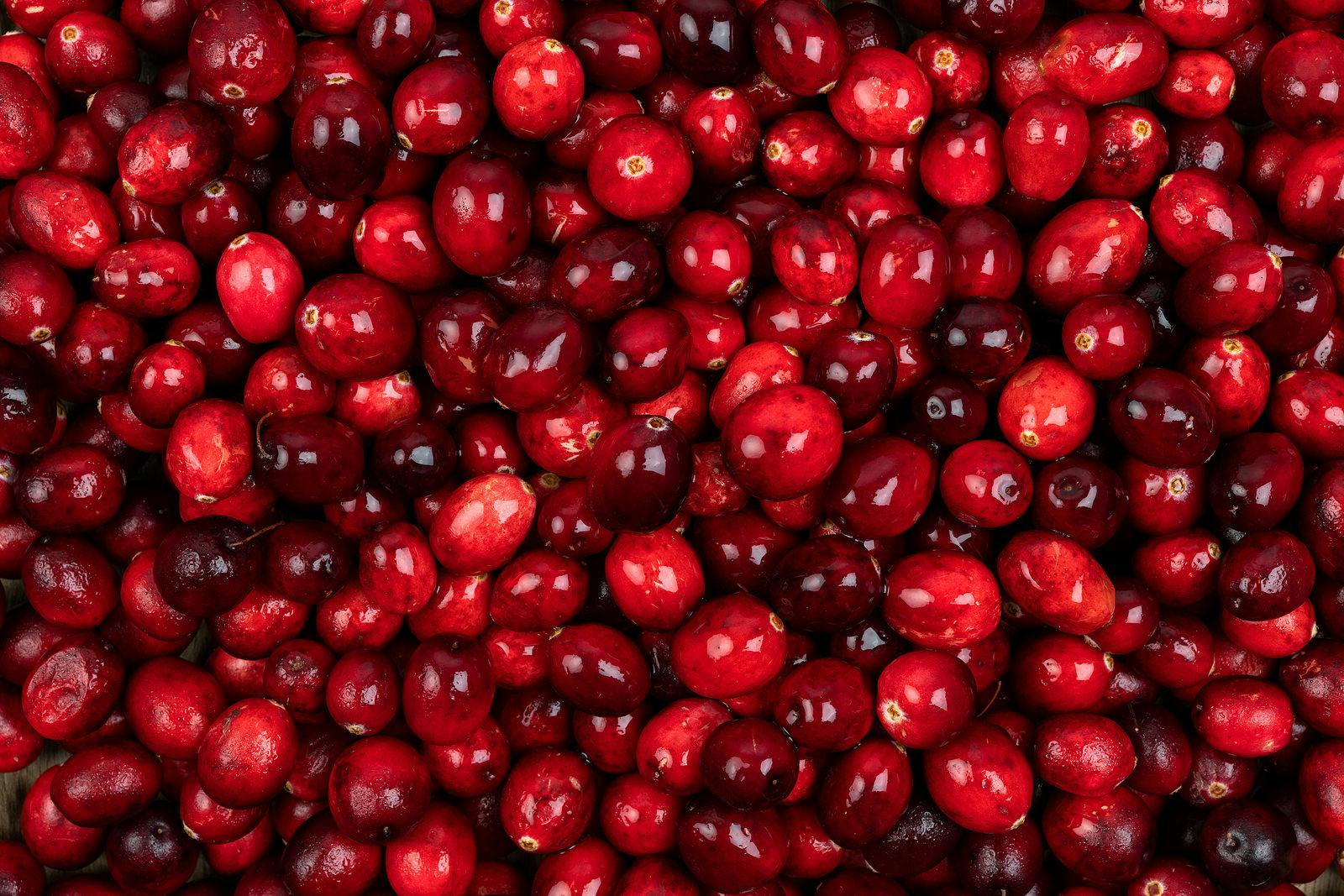 Cranberry Compounds Help Prevent Antibiotic Resistance | The People's ...